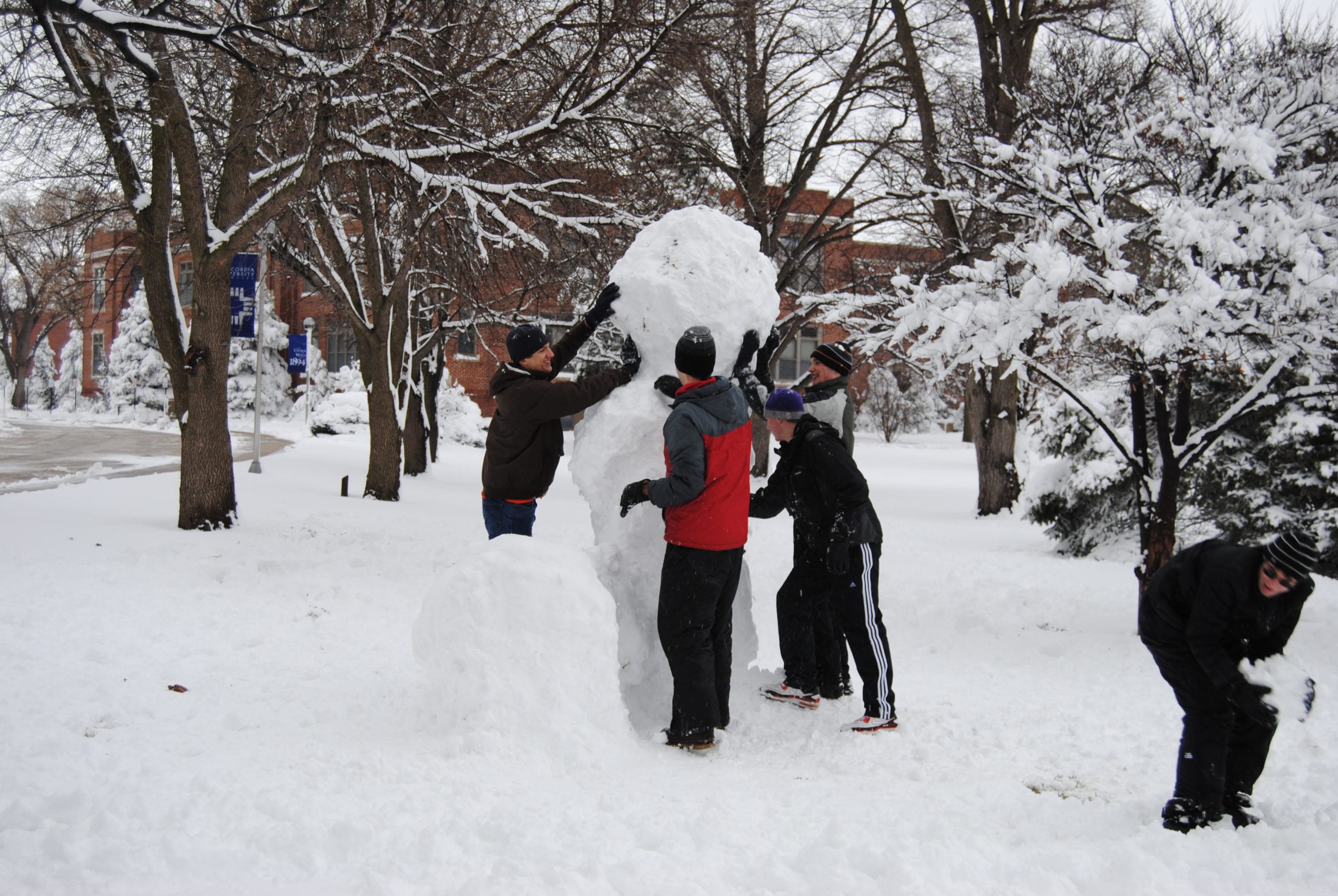 Concordia Students Enjoy a Rare Snow Day | The Sower Newspaper