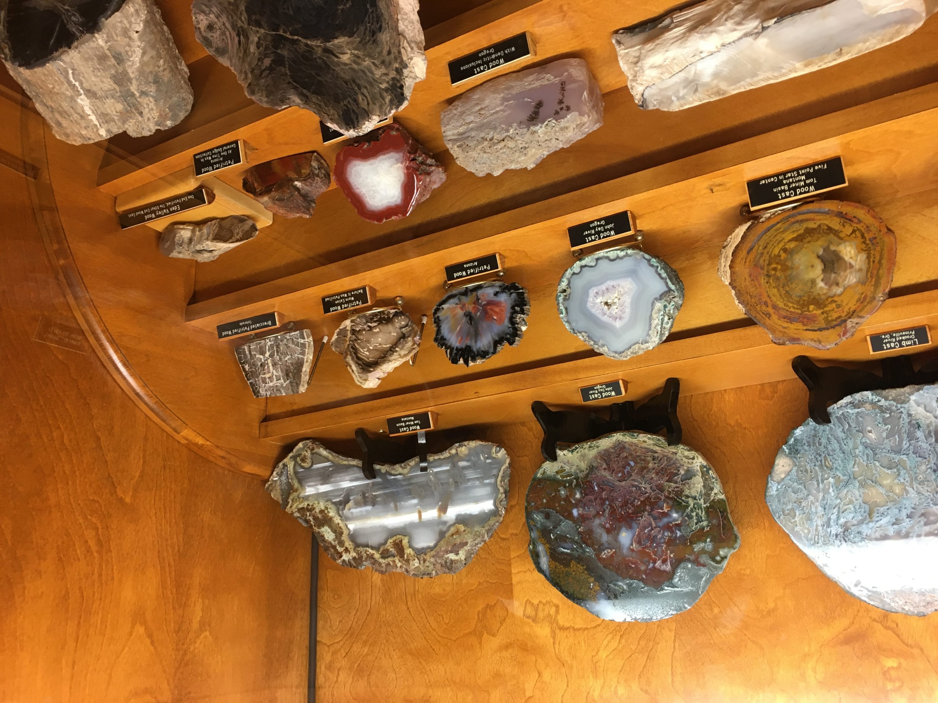 Bartels Rock and Mineral Museum Spotlight | The Sower Newspaper