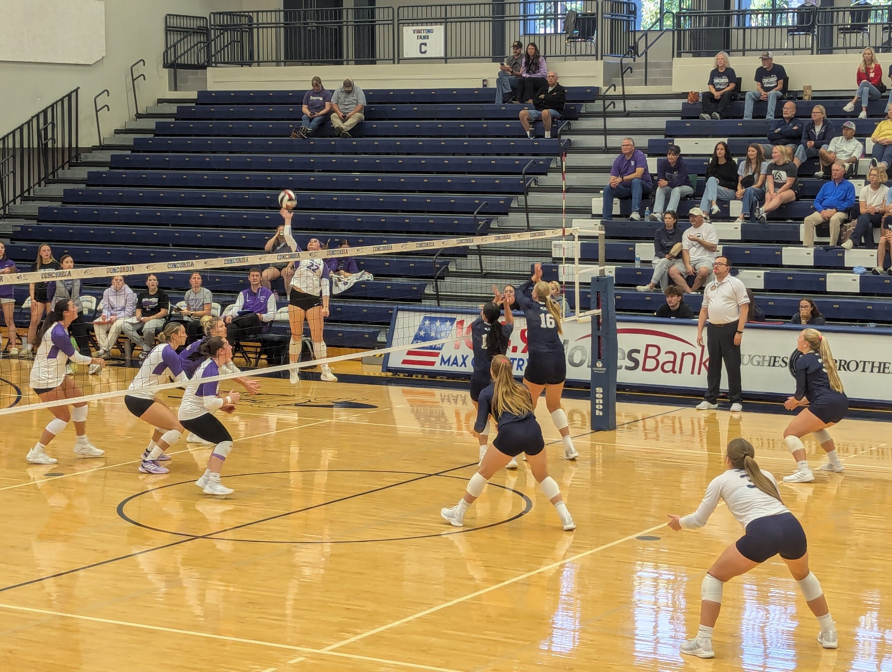 Bulldog volleyball dominates Doane to close regular season | The Sower ...